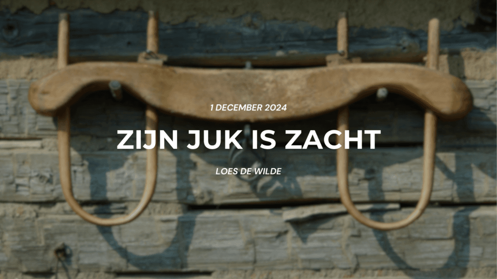 Zijn juk is zacht – Reggestroom